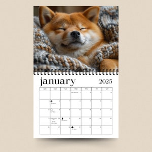 2025 Calendar Sleepy Dogs Calendar Monthly Planner - Etsy UK