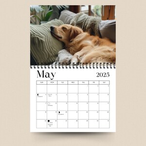 2025 Calendar Sleepy Dogs Calendar Monthly Planner - Etsy UK