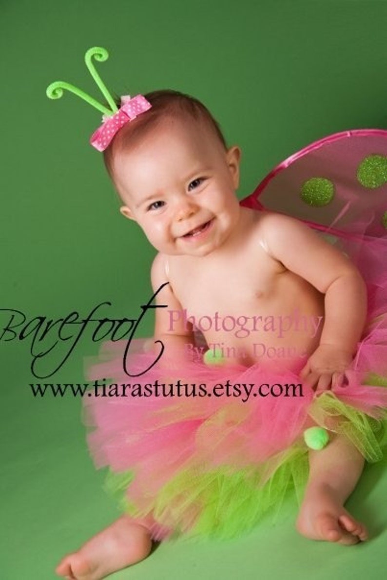 Pink, Green, Purple Lady Bug Wings - Infant/toddler Ladybug Wings ...