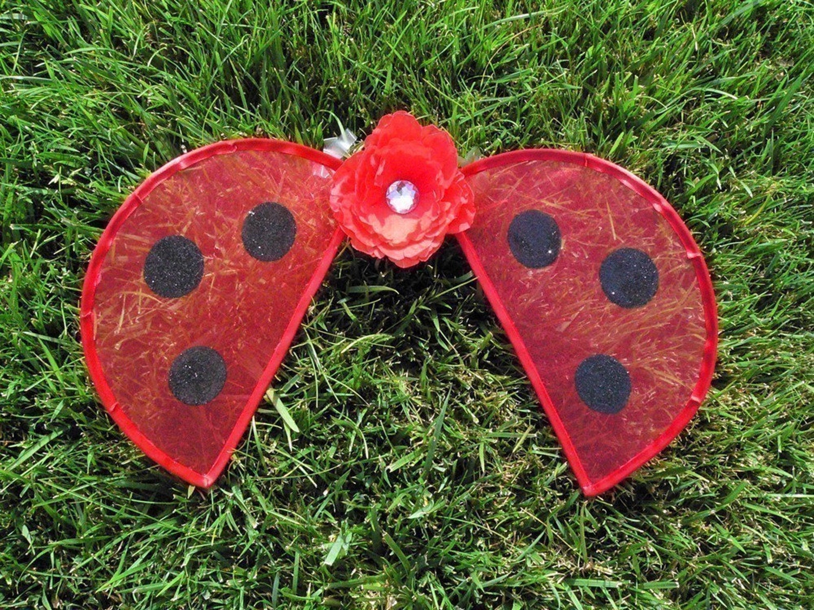 Design Your Own Infant/toddler Ladybug Wings Newborn to 24 - Etsy