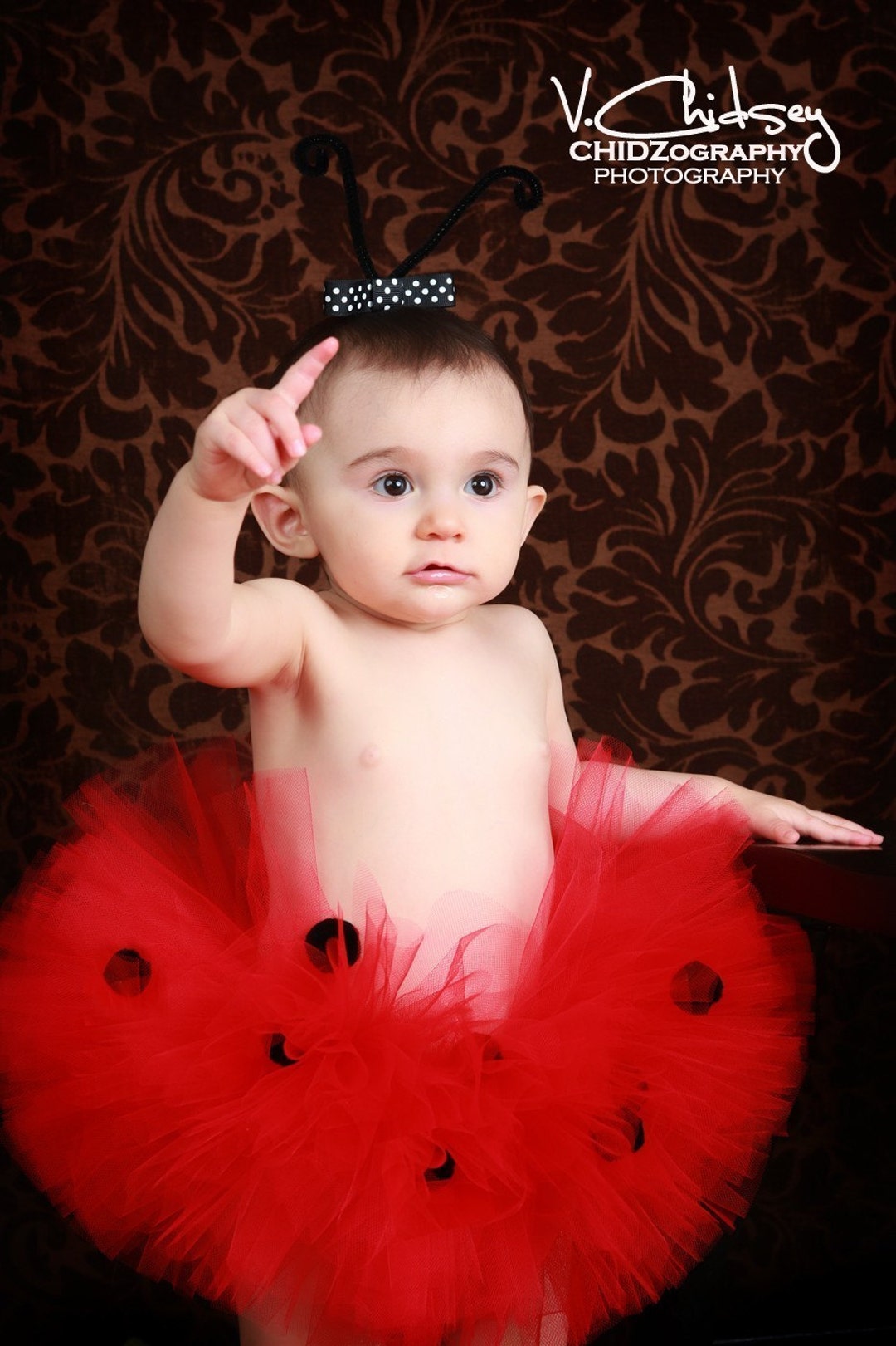 Girls Ladybug Birthday Tutu - Ladybug Tutu - Red Ladybug Tutu With ...