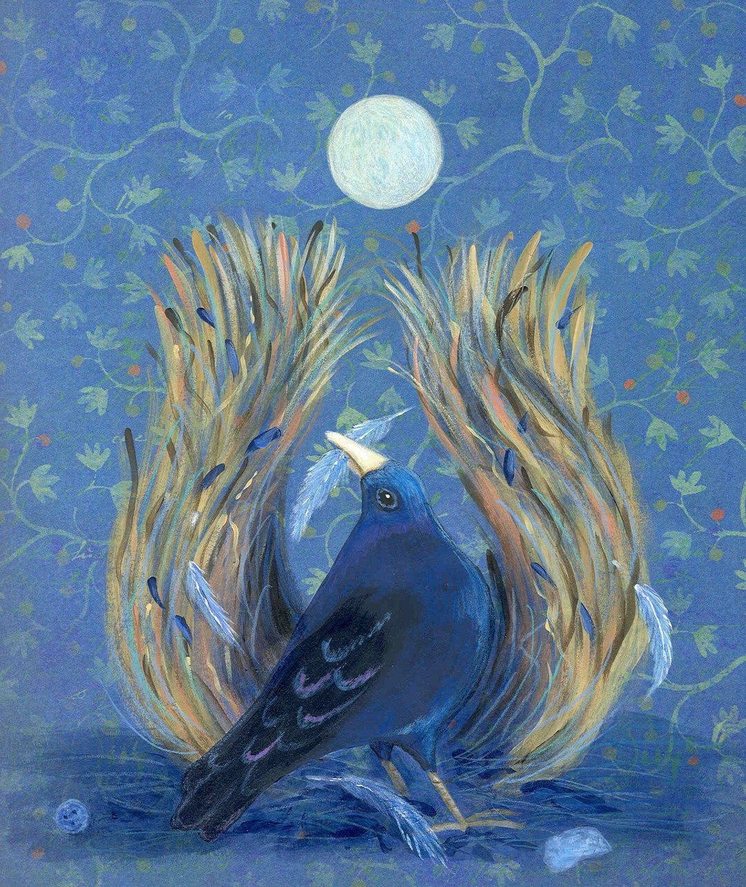 Bowerbird Print unframed but Matted - Etsy