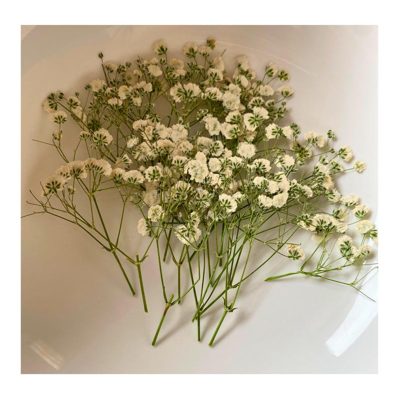 Cake Babys Breath Decor - Etsy