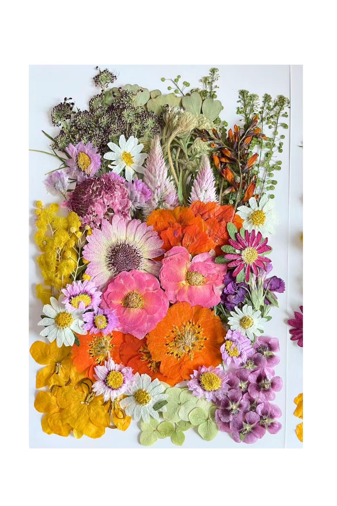 120+ Pcs Food-safe Dried Flowers for Holiday Baking: Valentines ...