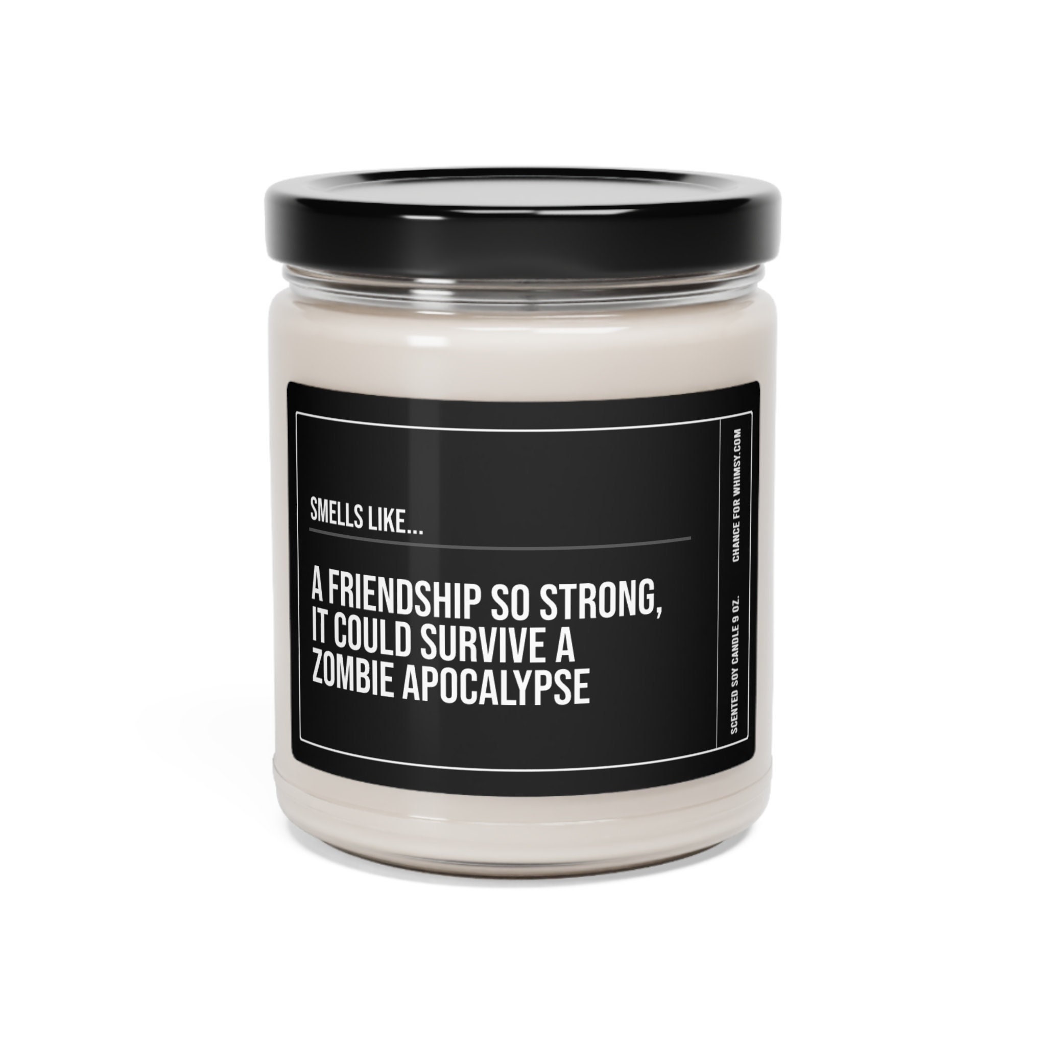 Friendship That Could Survive the Zombie Apocalypse Scented Soy Candle ...