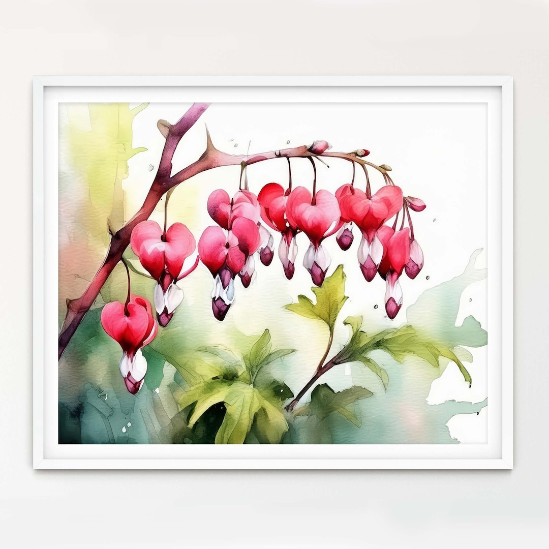 Bleeding Heart Watercolor Print: Archival Ink, Somerset Velvet Paper ...