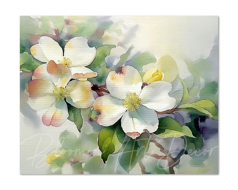 Dogwood Watercolor Print: Archival Ink, Somerset Velvet Paper, Optional ...