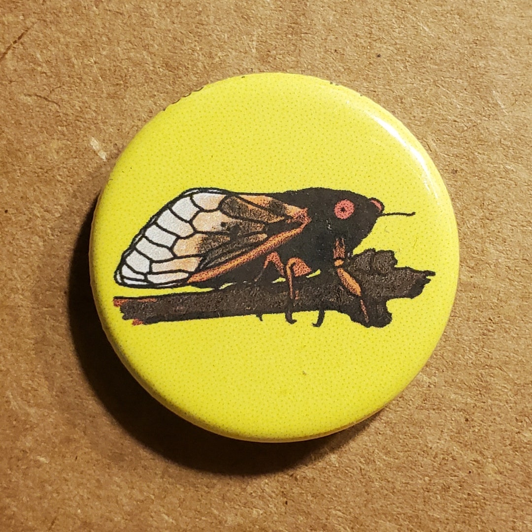 Individual Cicada Pinback Cicada Gift Cicada Party Cicada Decor Cicada ...