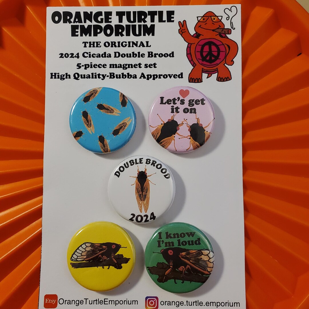 Cicada Magnets 5-piece Set | 2024 Cicadas | Funny Cicadas | Cicada Art ...