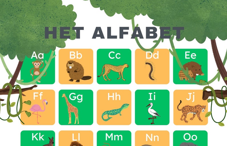 Alfabet Poster Jungle - Dieren Van A Tot Z Voor Kinderen - Etsy