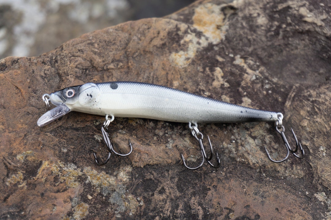 Hand-painted Jerkbait Shad Pattern Fishing Lure, Custom Fishing Baits ...