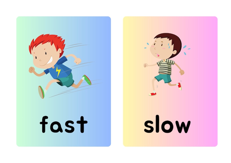 Opposites Flashcards SVG PNG - Etsy