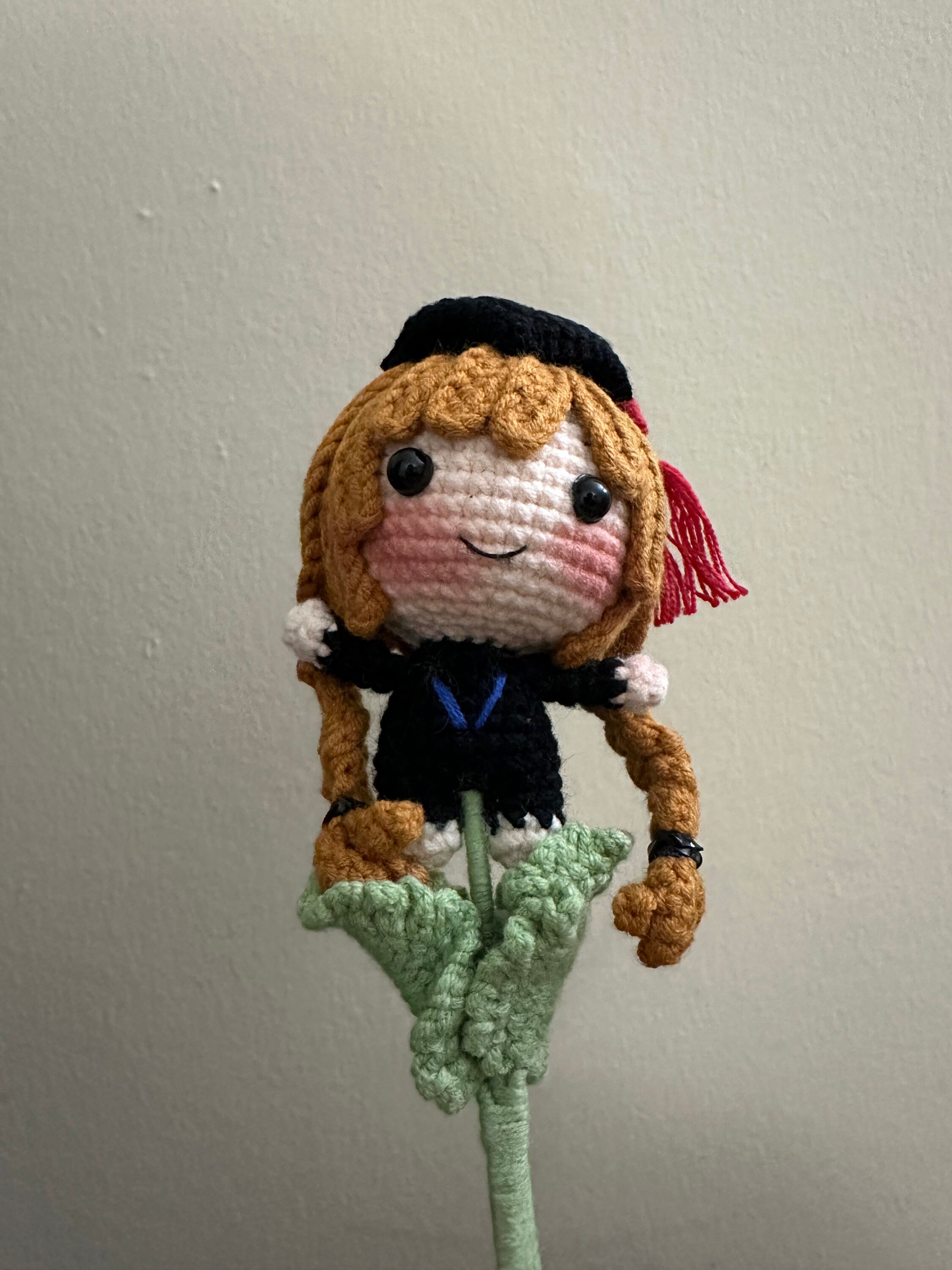 Handmade CROCHET Graduation Boy/girl Dolls With Bouquet, Amigurumi ...