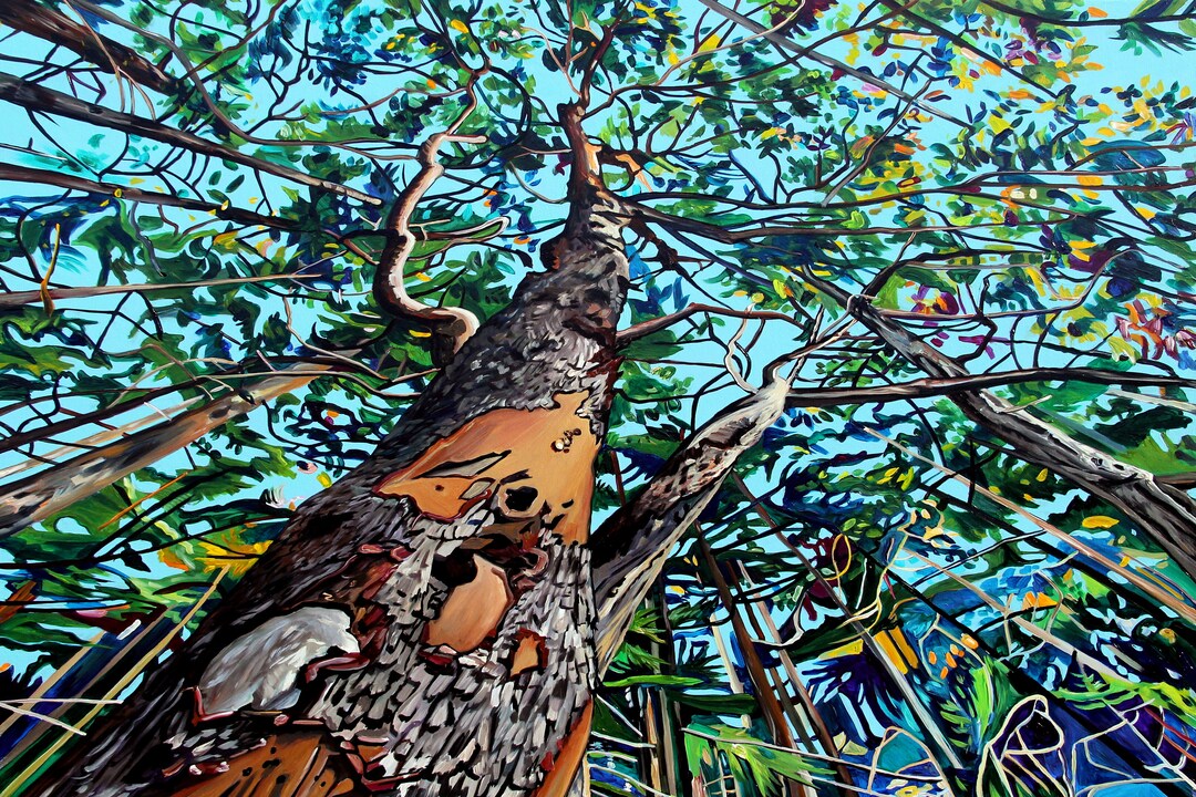 CANVAS PRINT Salt Spring Arbutus Painting 12x8, 18x12, 24x16, 30x20 ...