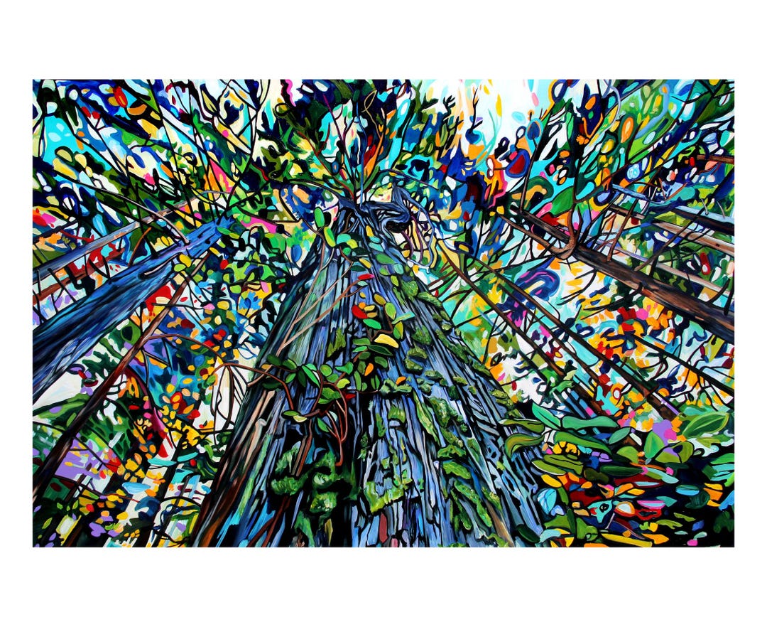 ART PRINT Cedar Riot Forest Art Prints Canvas, Paper: 12x8" 18x12 ...