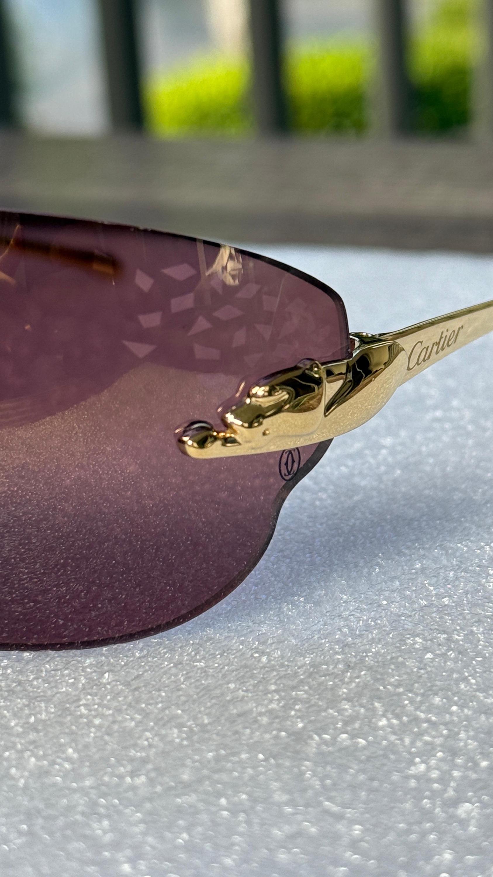 Cartier - Panthére De Cartier - Ct0062s - Etsy