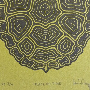 Turtle Shell Linocut Print | Handmade Block Print | Small 6x8 Nature ...