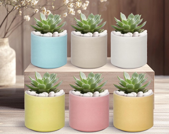 Wine Planter Pot, Champagne Ceramic Succulent Handmade Ceramic Planter ...