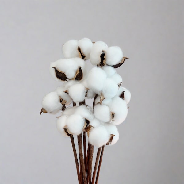 Cotton Bouquet - Etsy