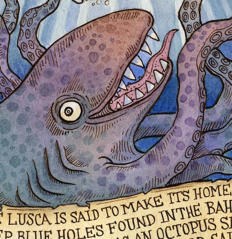 Lusca Sea Monster Cryptozoology Art Print | Etsy