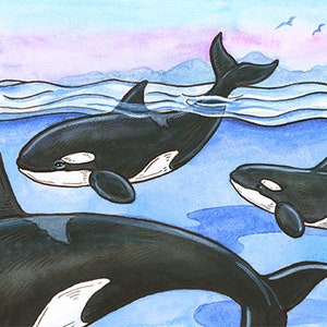 Orca Killer Whale Art Print 8"x10" - Etsy