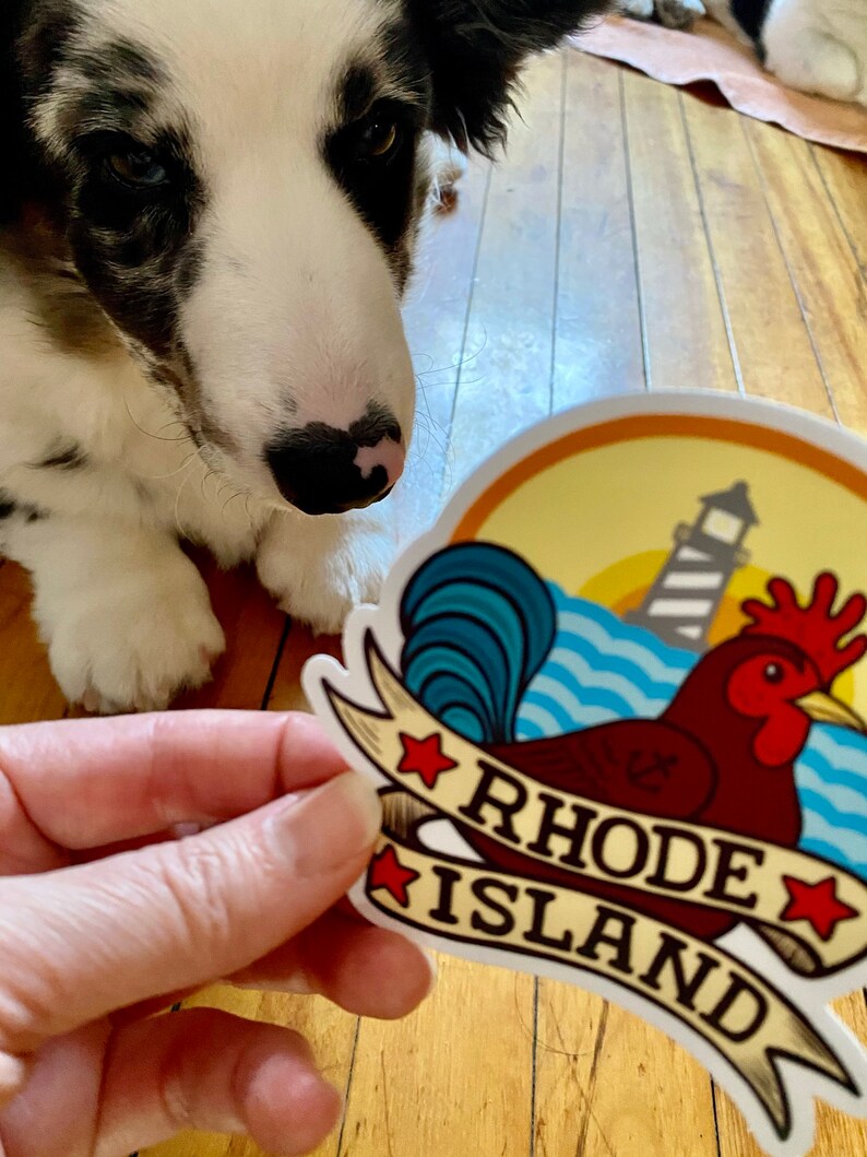 Rhode Island Red Rooster Vinyl Sticker 4 | Etsy