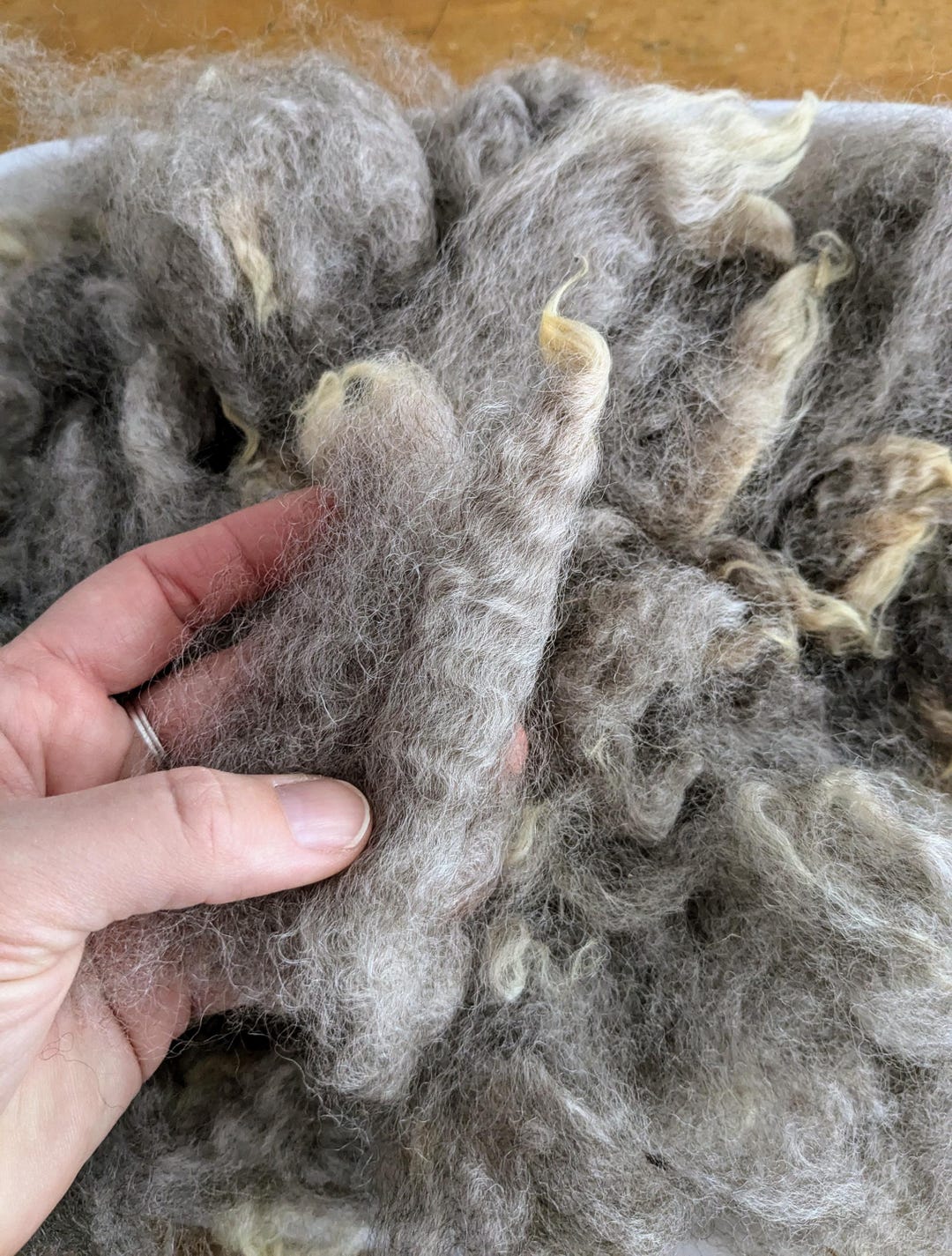 Washed Romney Ewe Wool Locks - Natural Gray Washed Wool for Spinning or ...