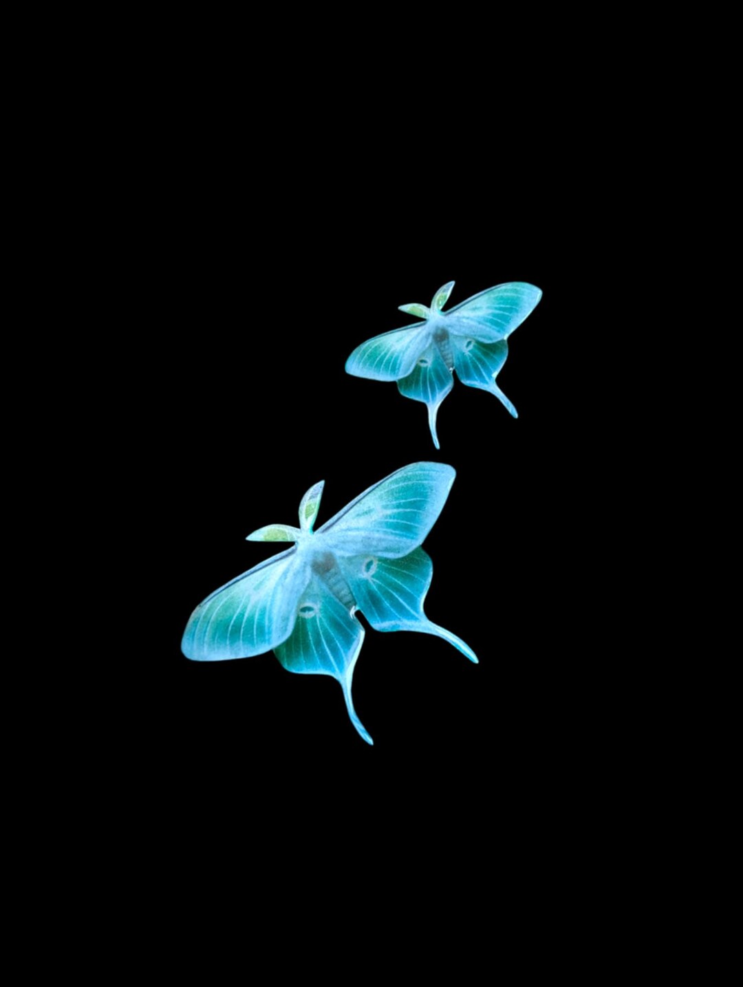 Soft Luna Moth Inspired Resin Coated Hair Pins. Hair Clips. Cute Gift ...