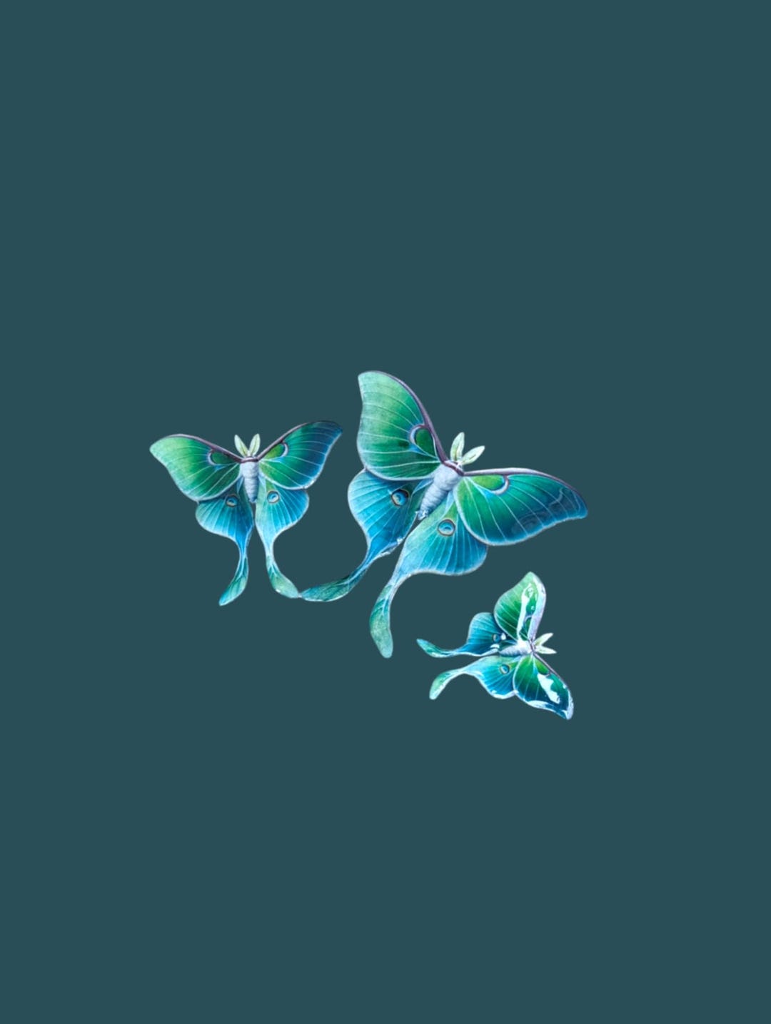 Luna Moth Inspired Resin Coated Hair Pins. Hair Clips. Cute Gift for ...