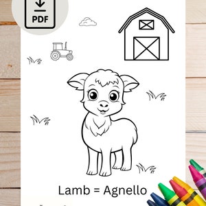 Learn Italian: Farm Animals Coloring Book With English Translations ...
