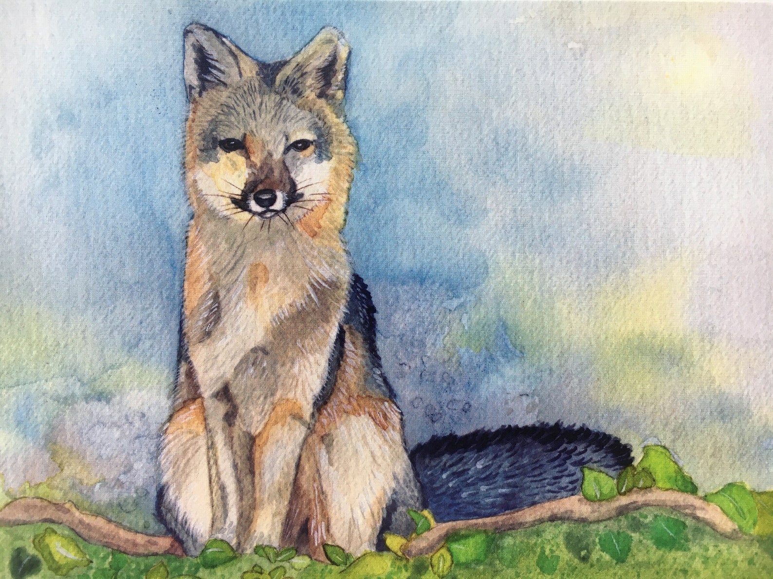 Grey Fox art prints 5 x 7 inches | Etsy