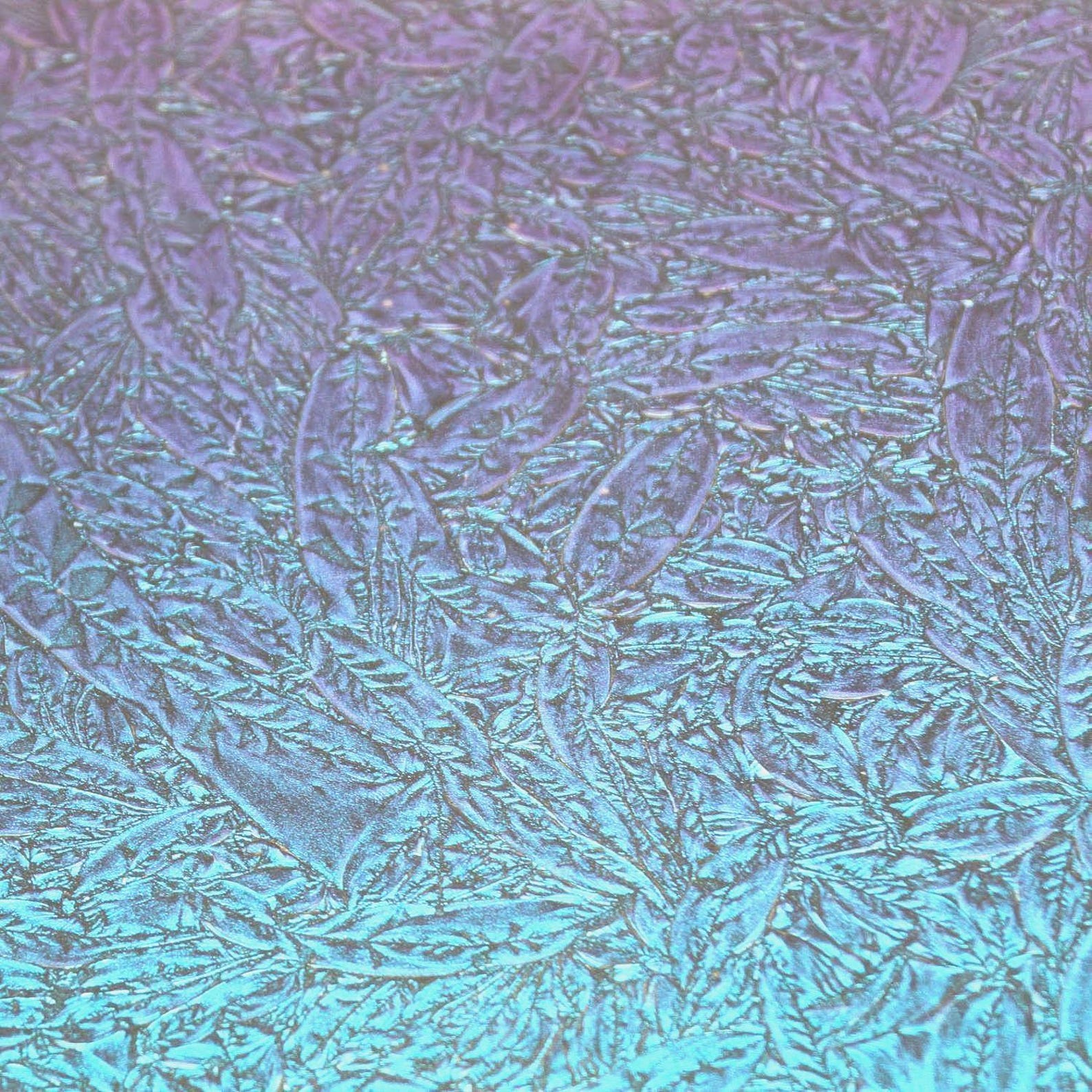Turquoise Sparkle Van Gogh Glass (color Shift) for Mosaics; Multiple ...