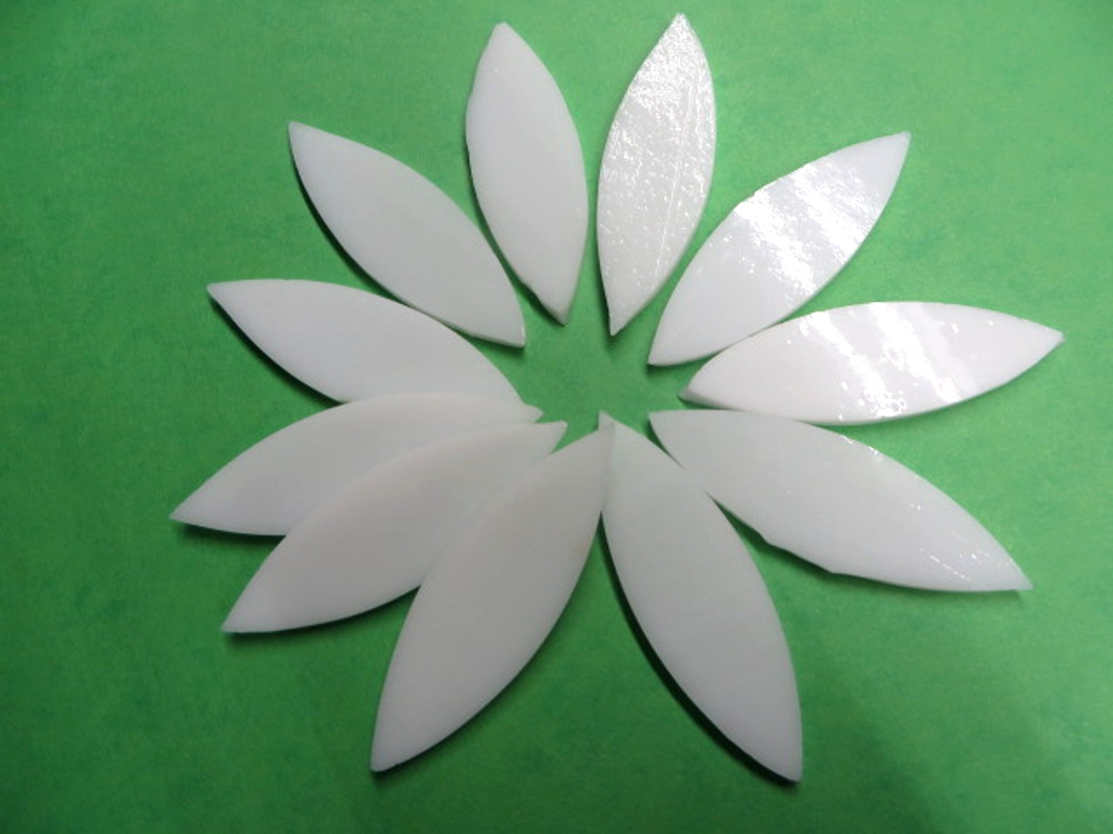 Pure White LARGE Glass Petals for Mosaics or Stained Glass; Available ...