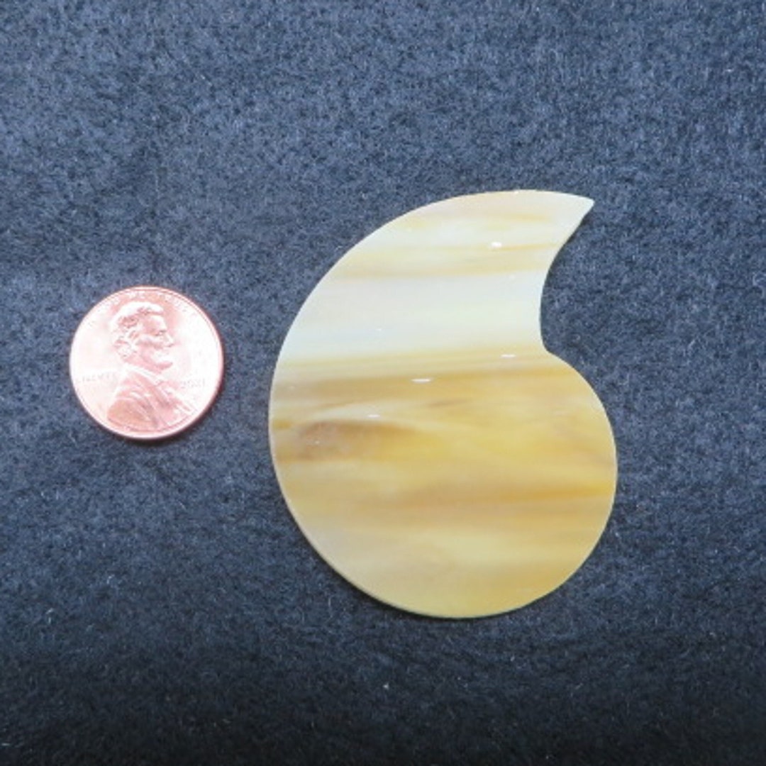 Nautilus Sea Shell; COE 96 Fusible Glass (1-11/16" X 2") - Etsy
