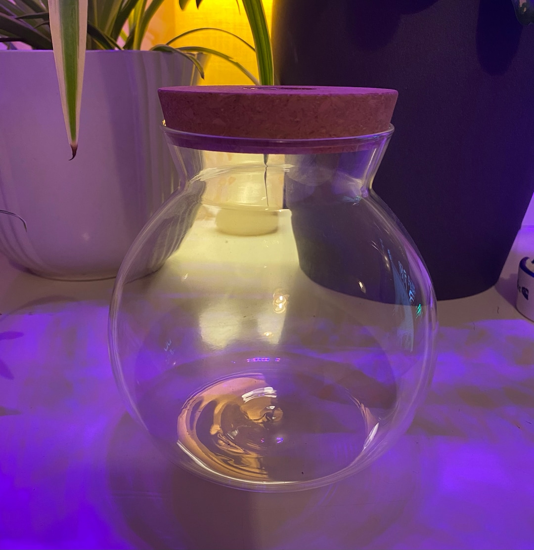 LED Cork Lid Glass Terrarium Bottle Container Moss Home Decor - Etsy