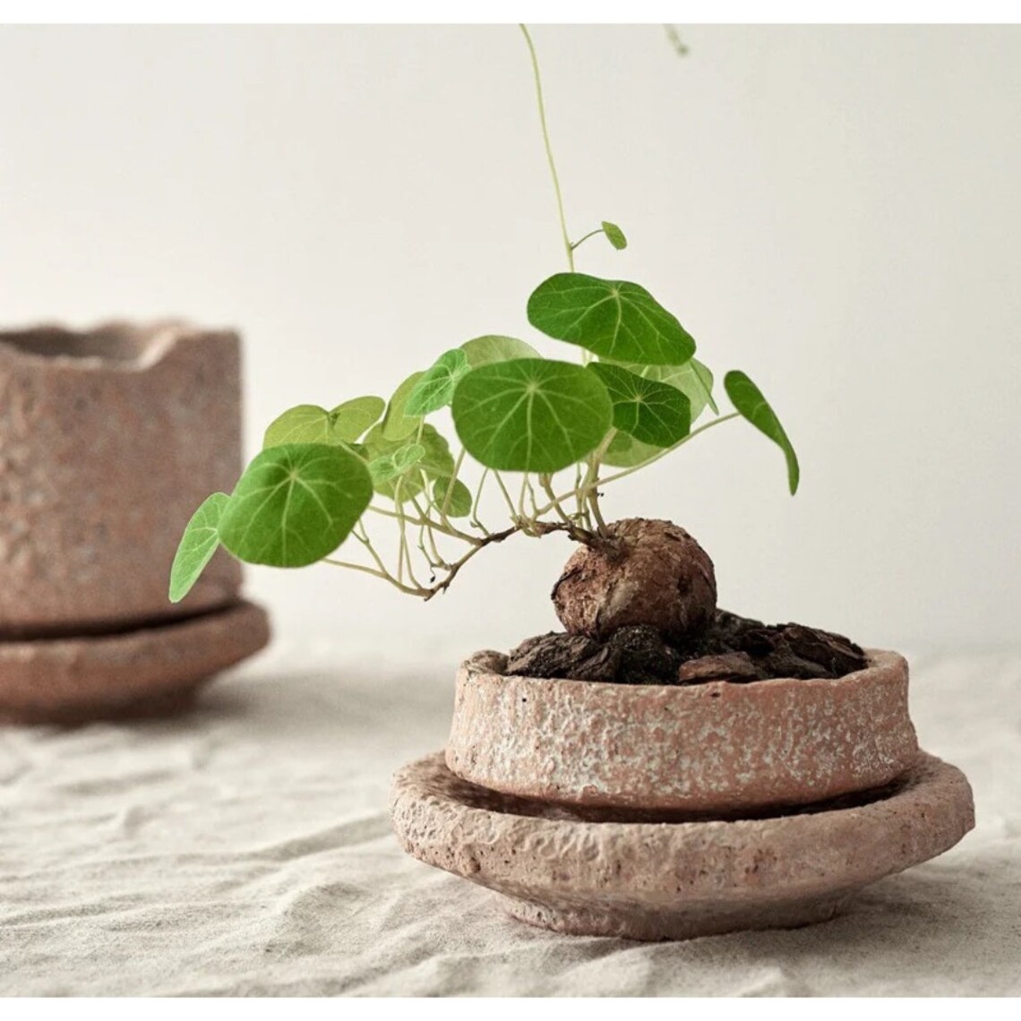 Rustic Handmade Ceramic Flower Pot With Base Tray Flower Vase Garden ...