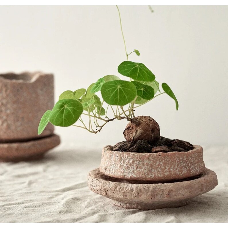 Rustic Handmade Ceramic Flower Pot With Base Tray Flower Vase Garden ...