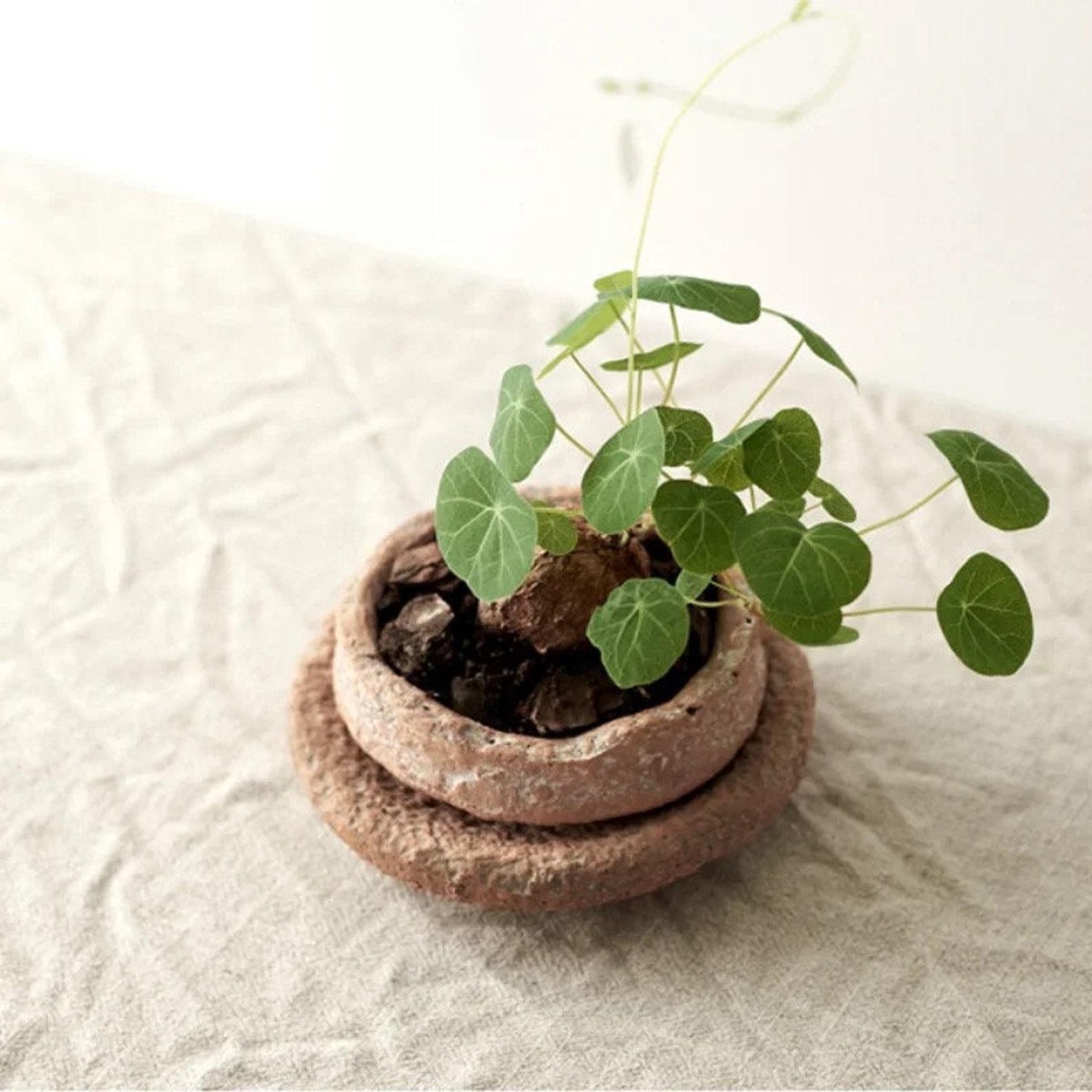 Rustic Handmade Ceramic Flower Pot With Base Tray Flower Vase Garden ...