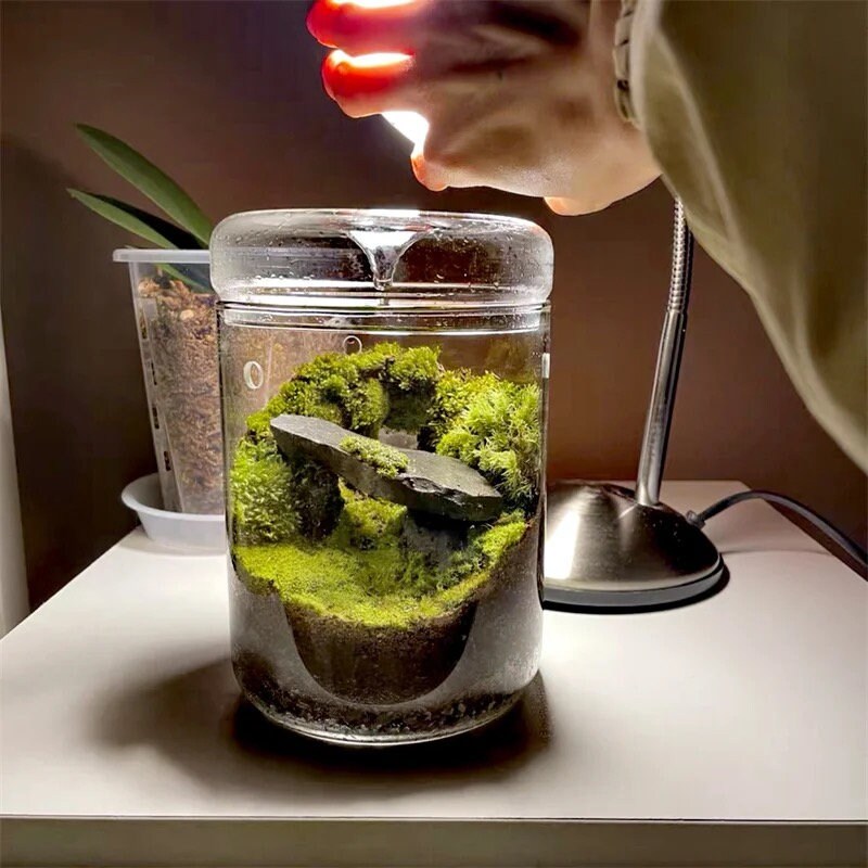 Dew Drop Glass Terrarium Container Vase Moss Bansai Mini Landscape Home ...