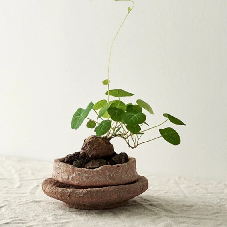 Rustic Handmade Ceramic Flower Pot With Base Tray Flower Vase Garden ...