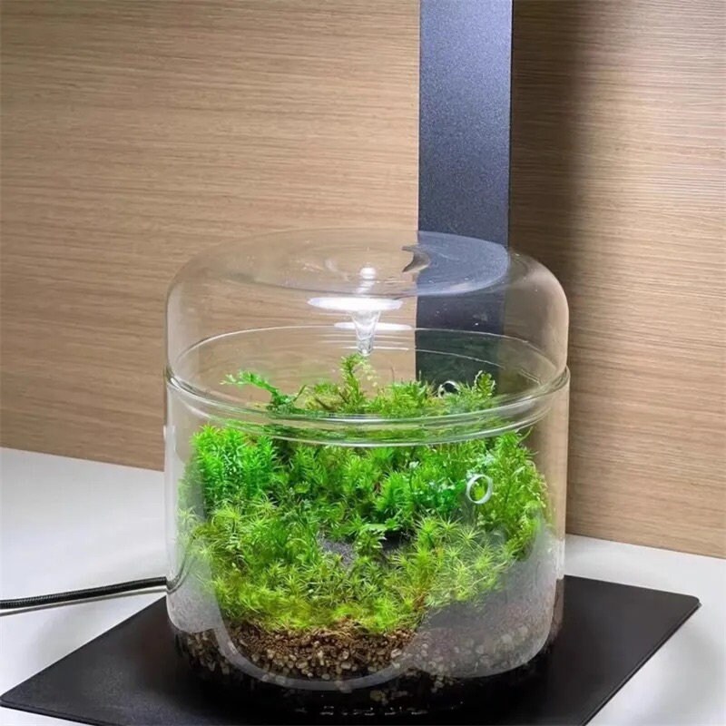 Dew Drop Glass Terrarium Container Vase Moss Bansai Mini Landscape Home ...