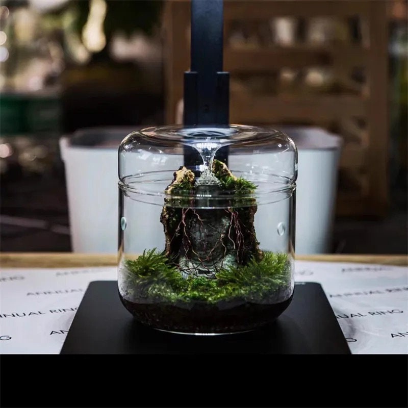 Dew Drop Glass Terrarium Container Vase Moss Bansai Mini Landscape Home ...