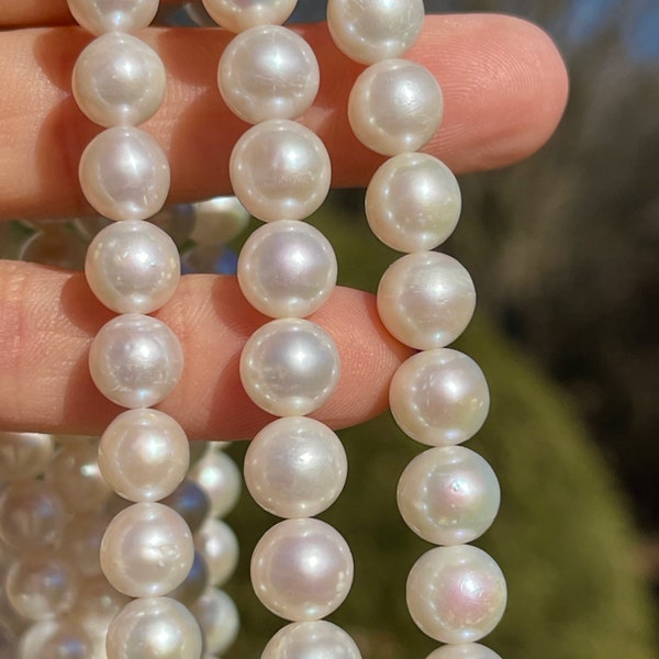 8mm Pearl - Etsy