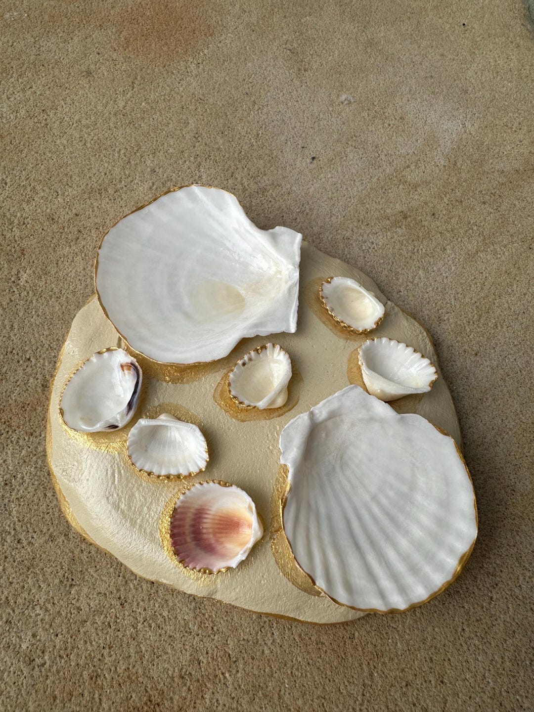 Seashell Paint Palette Gold, Multi Use, Art, Jewelry - Etsy