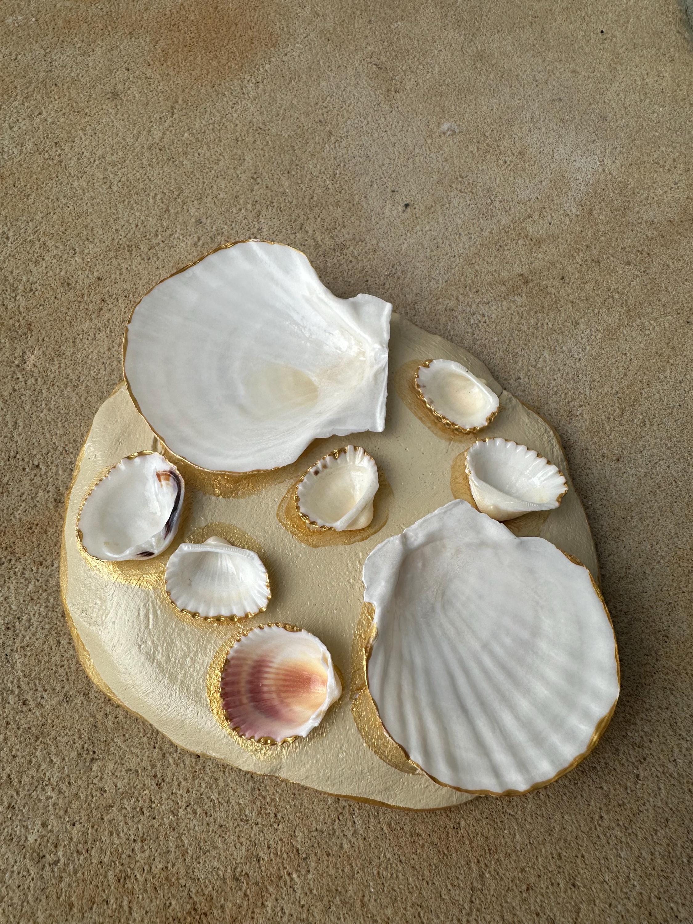 Seashell Paint Palette Gold, Multi Use, Art, Jewelry - Etsy