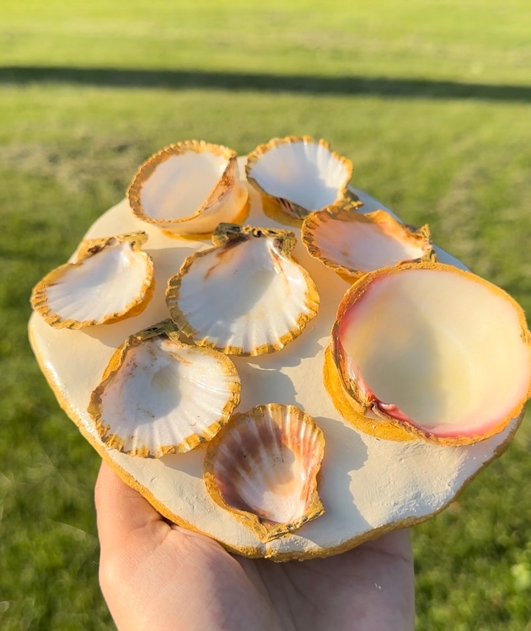 Seashell Paint Palette Gold, Multi Use, Jewelry - Etsy