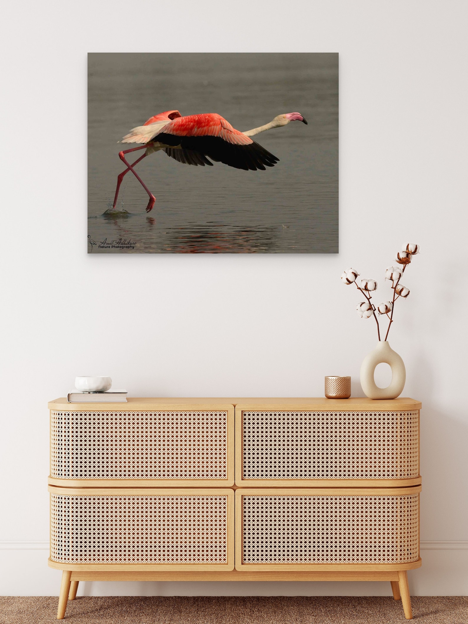 Flamingo Takeoff Photo Print, Bird Photography, Wall Art - Etsy