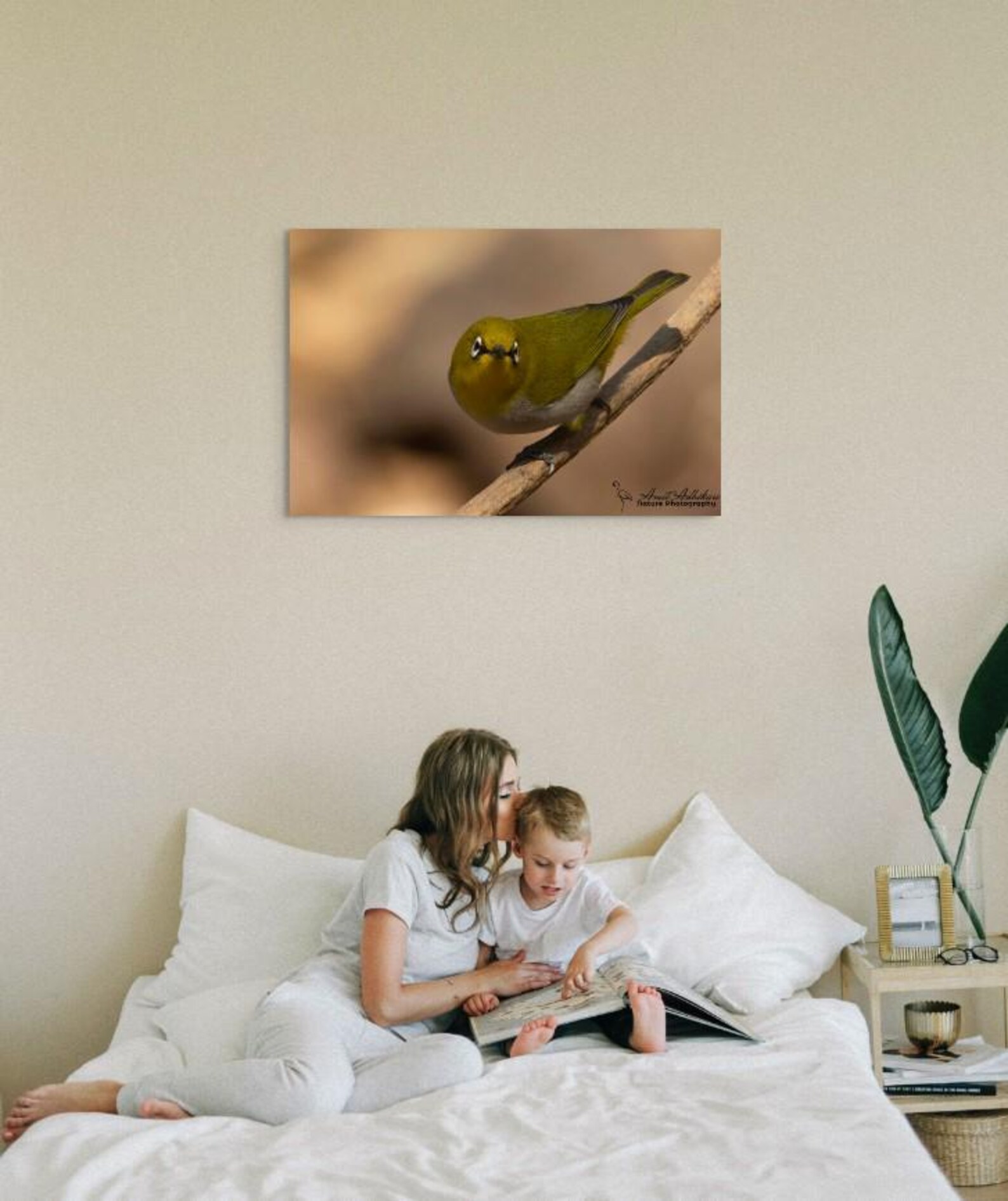White Eye Photo Print, Bird Photography, Wall Art - Etsy
