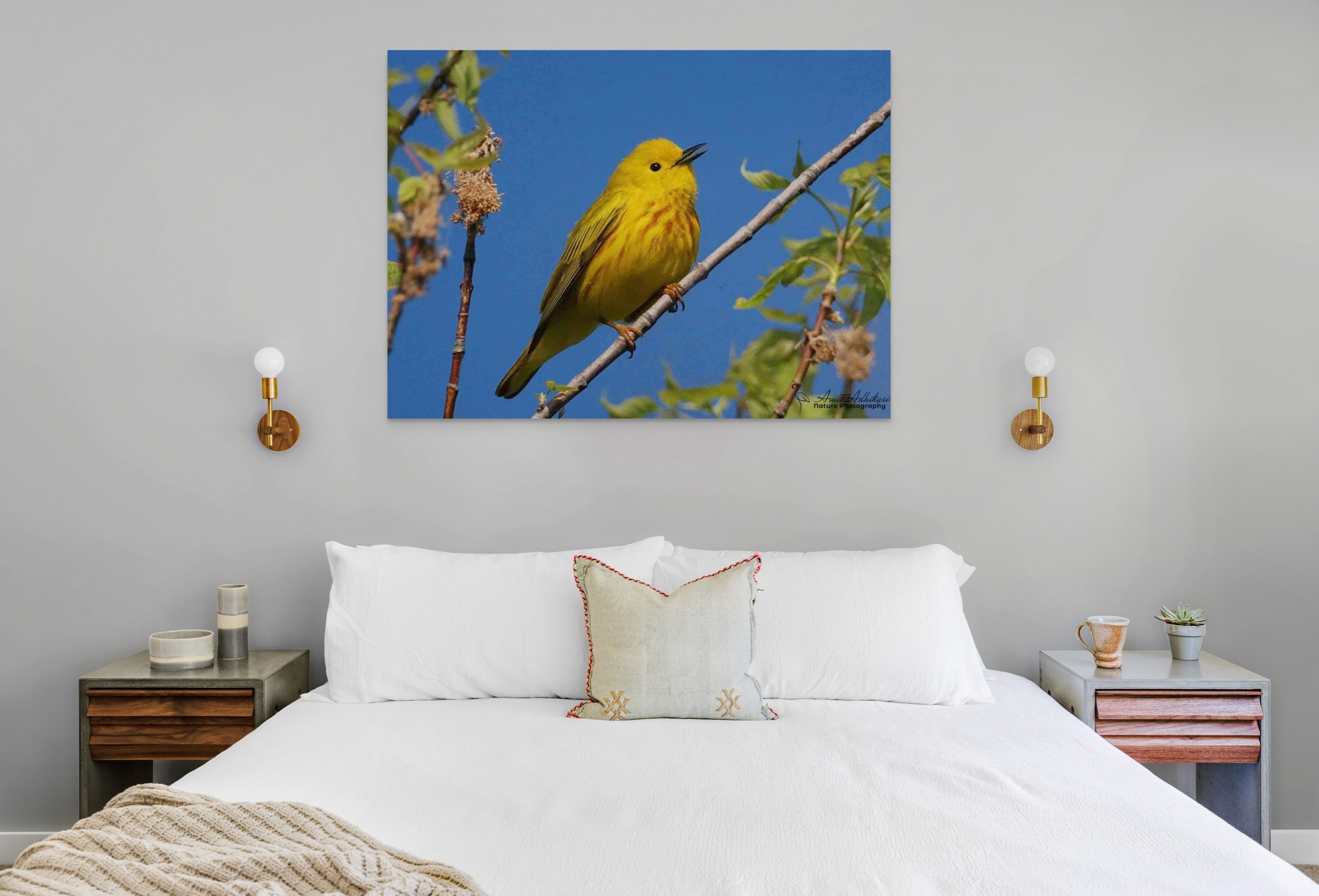 Yellow Warbler Photo Print, Bird Photography, Wall Art - Etsy