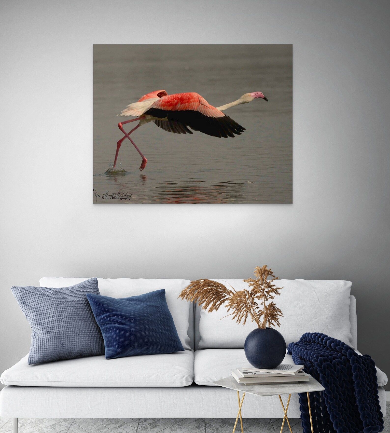 Flamingo Takeoff Photo Print, Bird Photography, Wall Art - Etsy